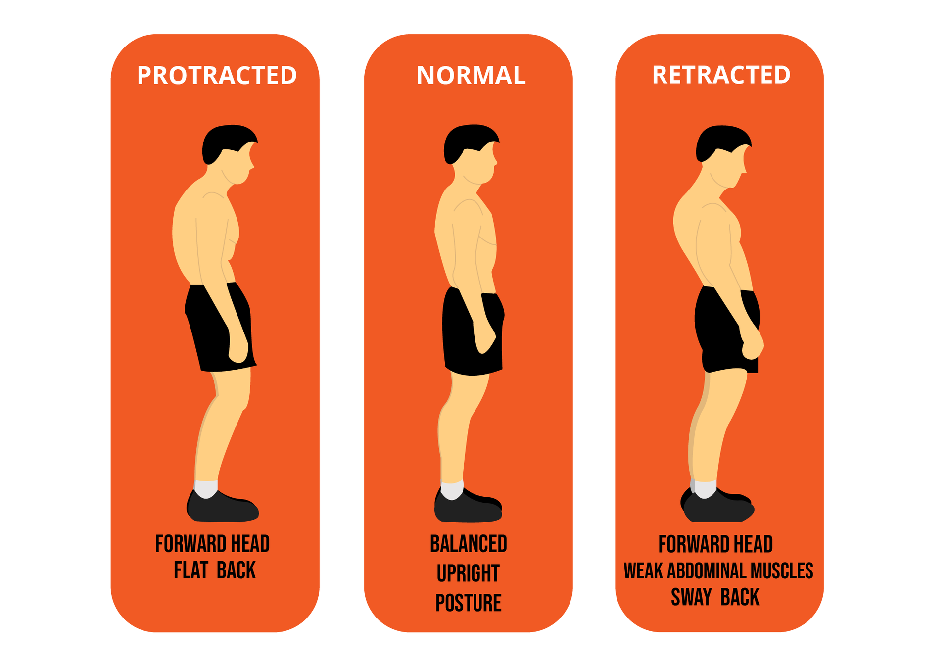 Why Posture Matters? Understanding the Importance of Correct Posture ...